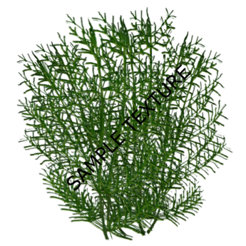 Second Life Marketplace - ALPHA TEXTURE - Bush
